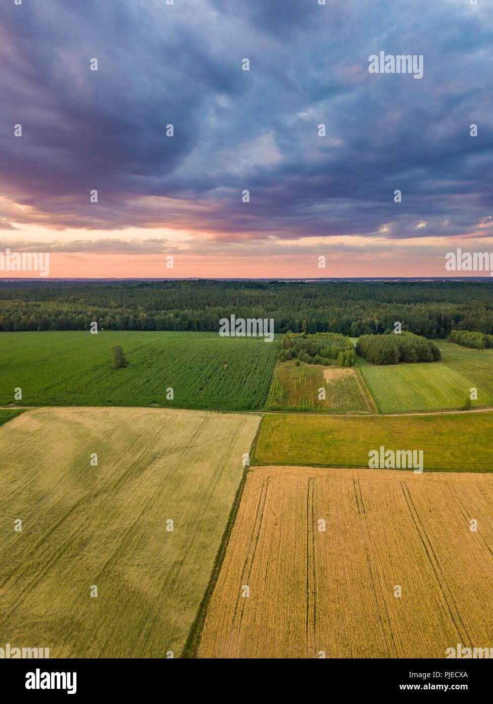 Aerial landscape with beautiful summer fields. Summer drone field ...
