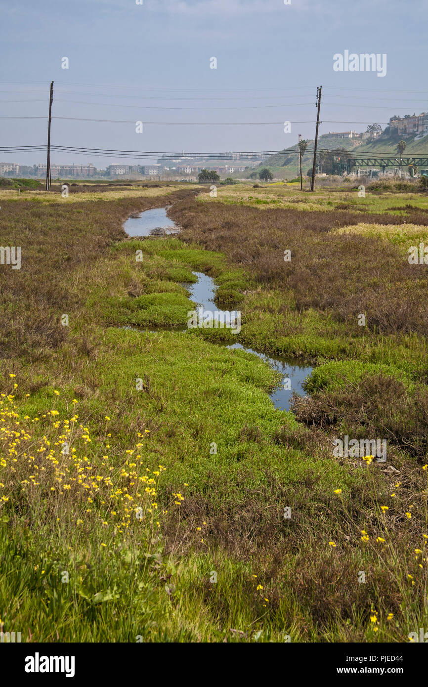 Playa del rey hi-res stock photography and images - Alamy