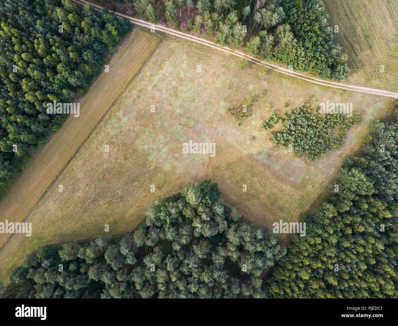 Aerial landscape with beautiful summer fields. Summer drone field ...