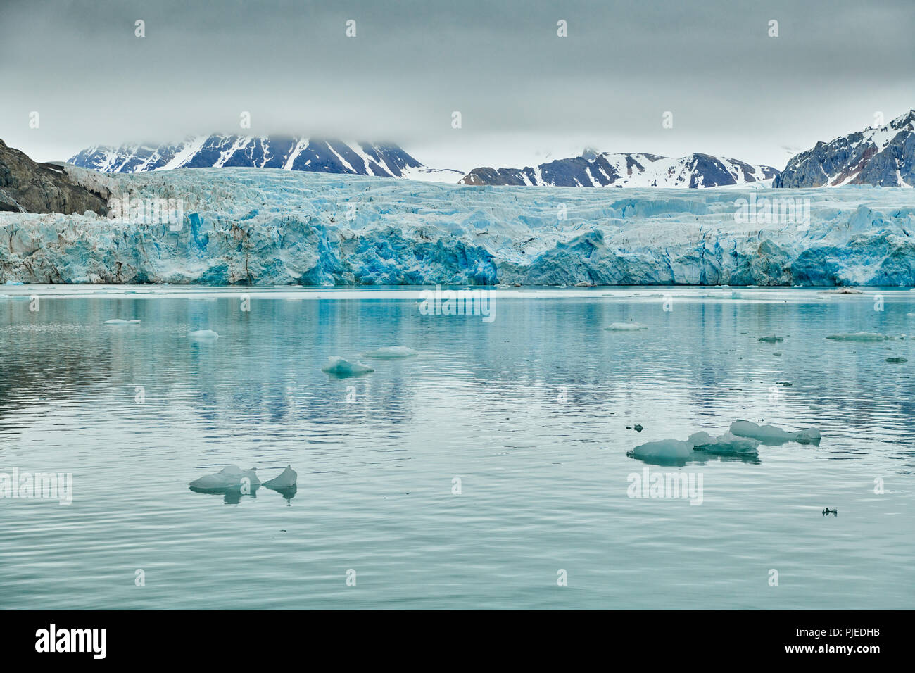 Svalbard environment hi-res stock photography and images - Alamy