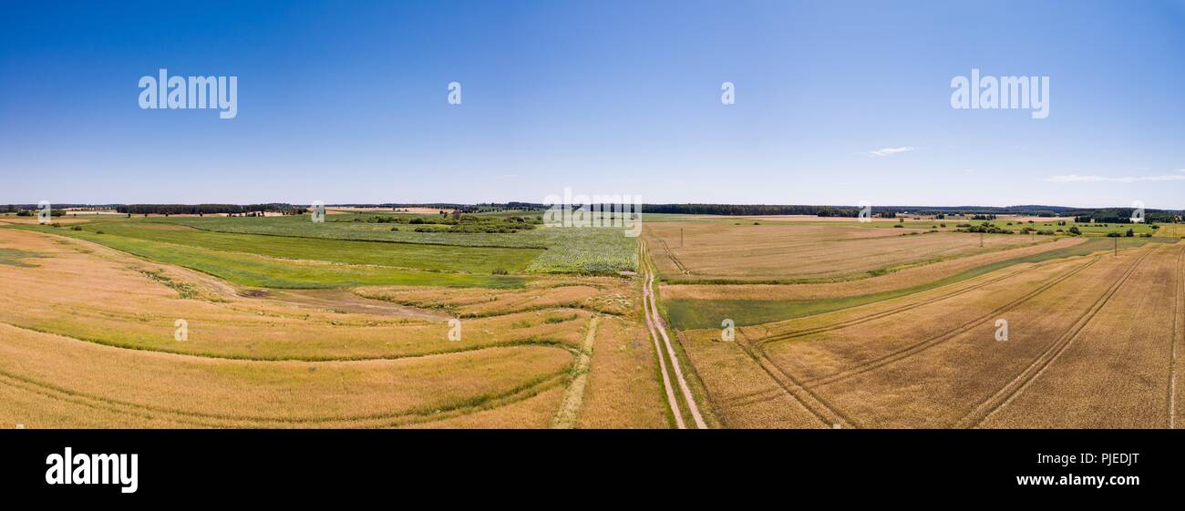 Aerial landscape with beautiful summer fields. Summer drone field ...