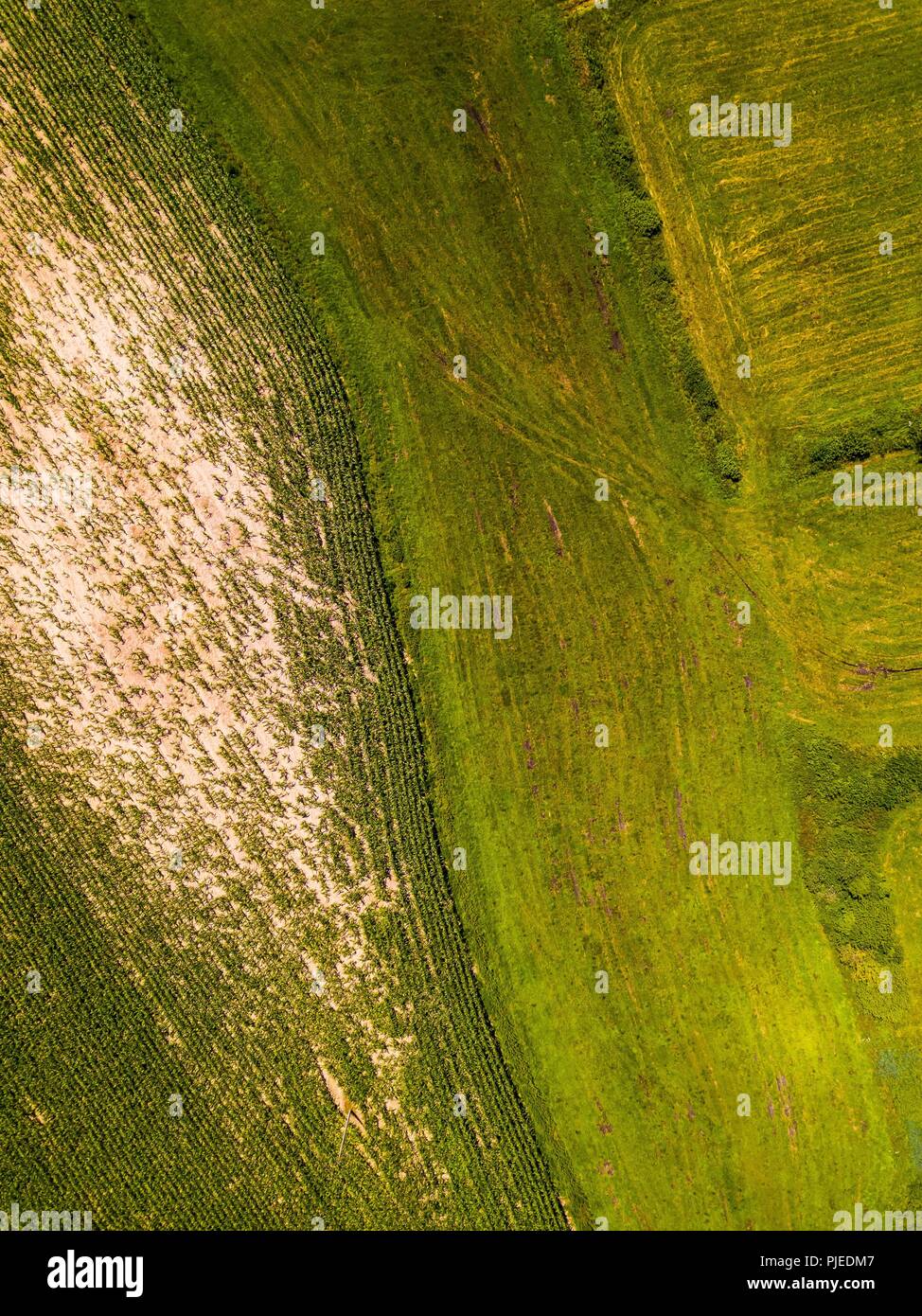Aerial landscape with beautiful summer fields. Summer drone field ...
