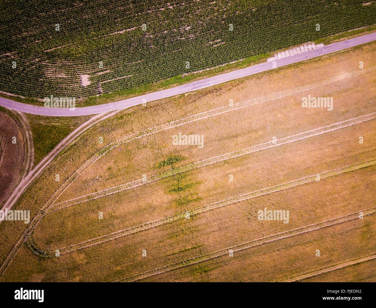 Aerial landscape with beautiful summer fields. Summer drone field ...