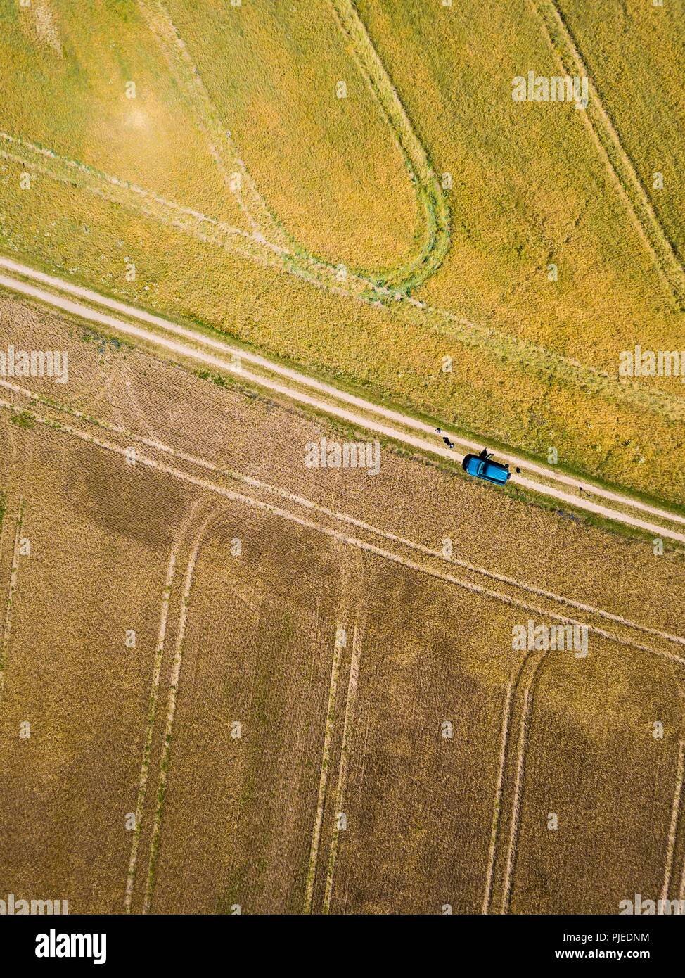 Aerial landscape with beautiful summer fields. Summer drone field ...