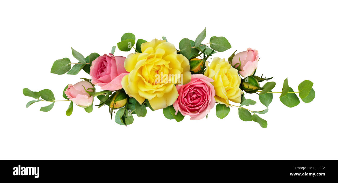 Yellow Flower Border Line