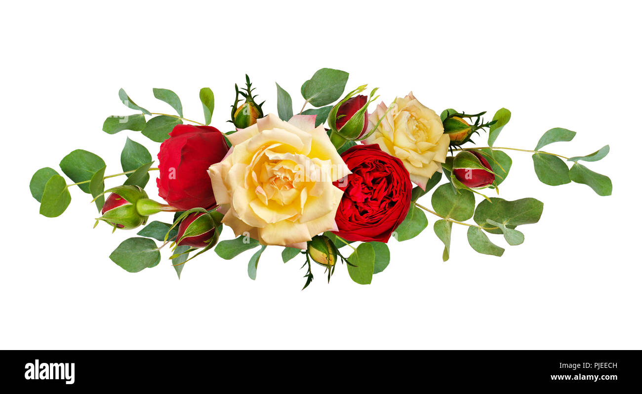 Red and yellow rose flowers with eucalyptus leaves in a line ...