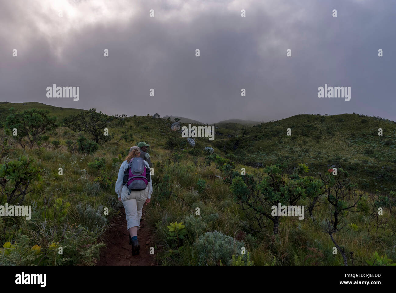 Views of Mt Inyangani, Zimbabwe's highest point, Nyanga national park ...