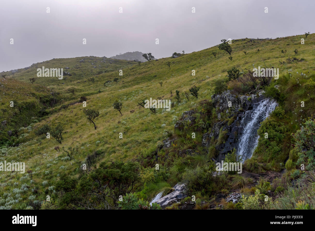 Views of Mt Inyangani, Zimbabwe's highest point, Nyanga national park ...