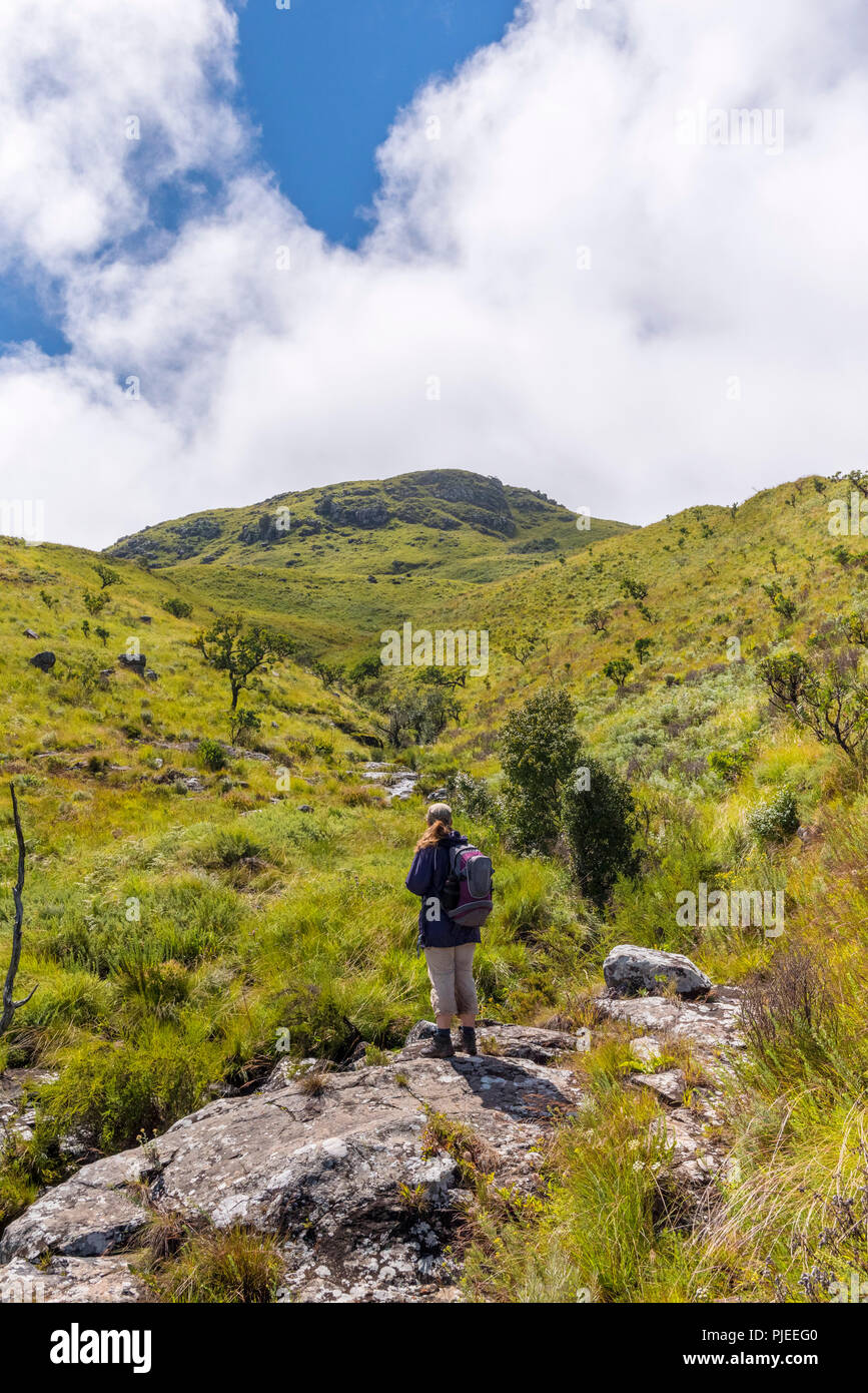 Rhodes nyanga hi-res stock photography and images - Alamy