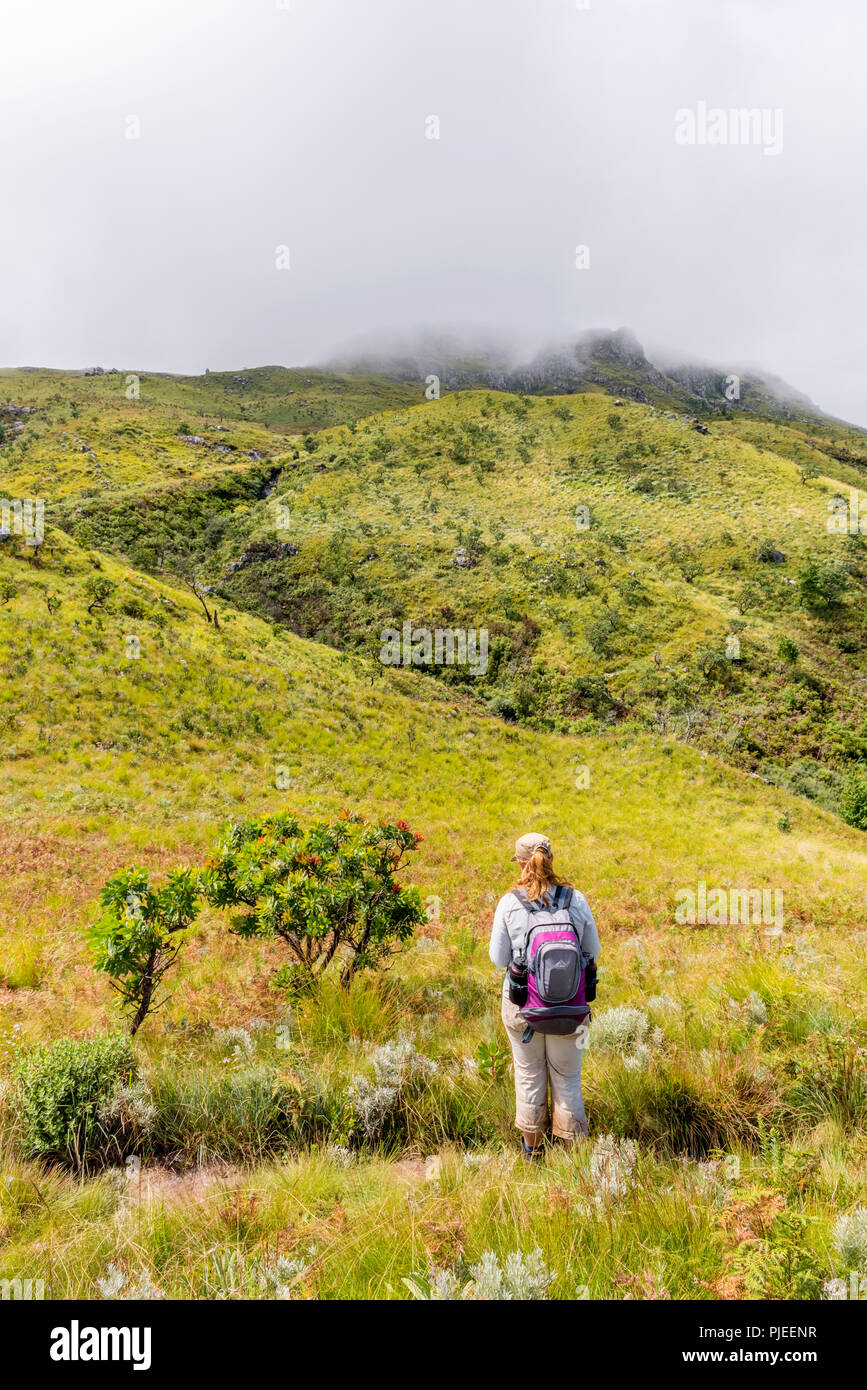 A hikers climbs the slopes of Mt Inyangani in Zimbabwe's Rhodes Nyanga ...