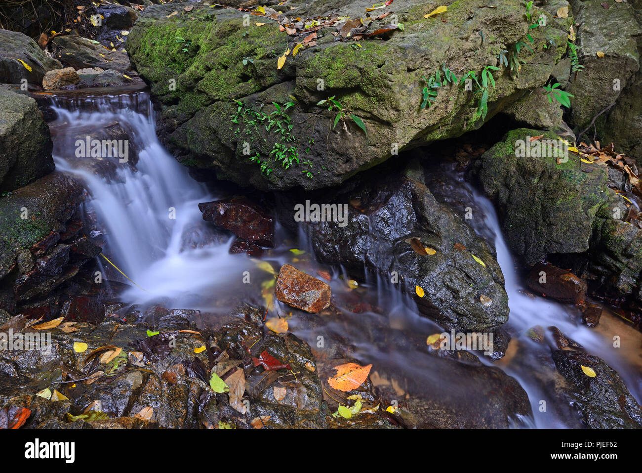 Cascades of the Tonsai waterfall, Phuket, Thailand, Kaskaden des Tonsai ...