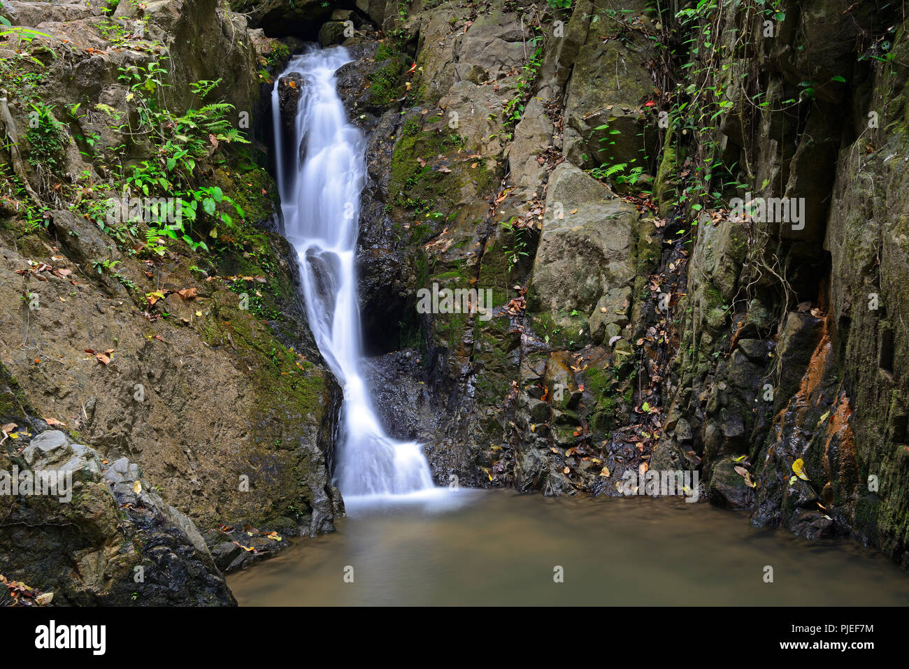 Provinz phuket hi-res stock photography and images - Alamy