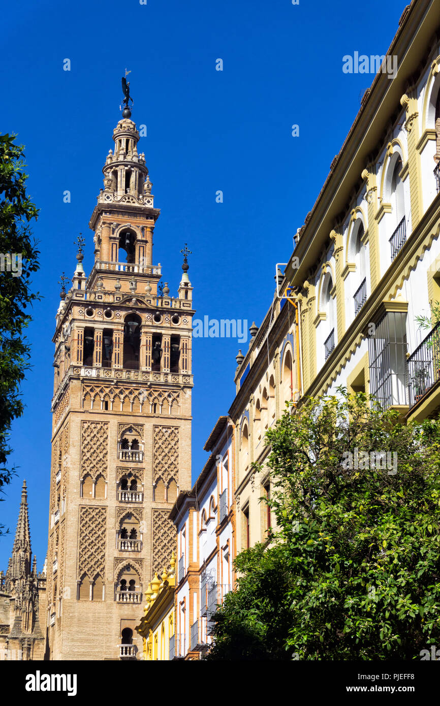 View of the Seville Cathedral tower with historic buildings in Spain ...
