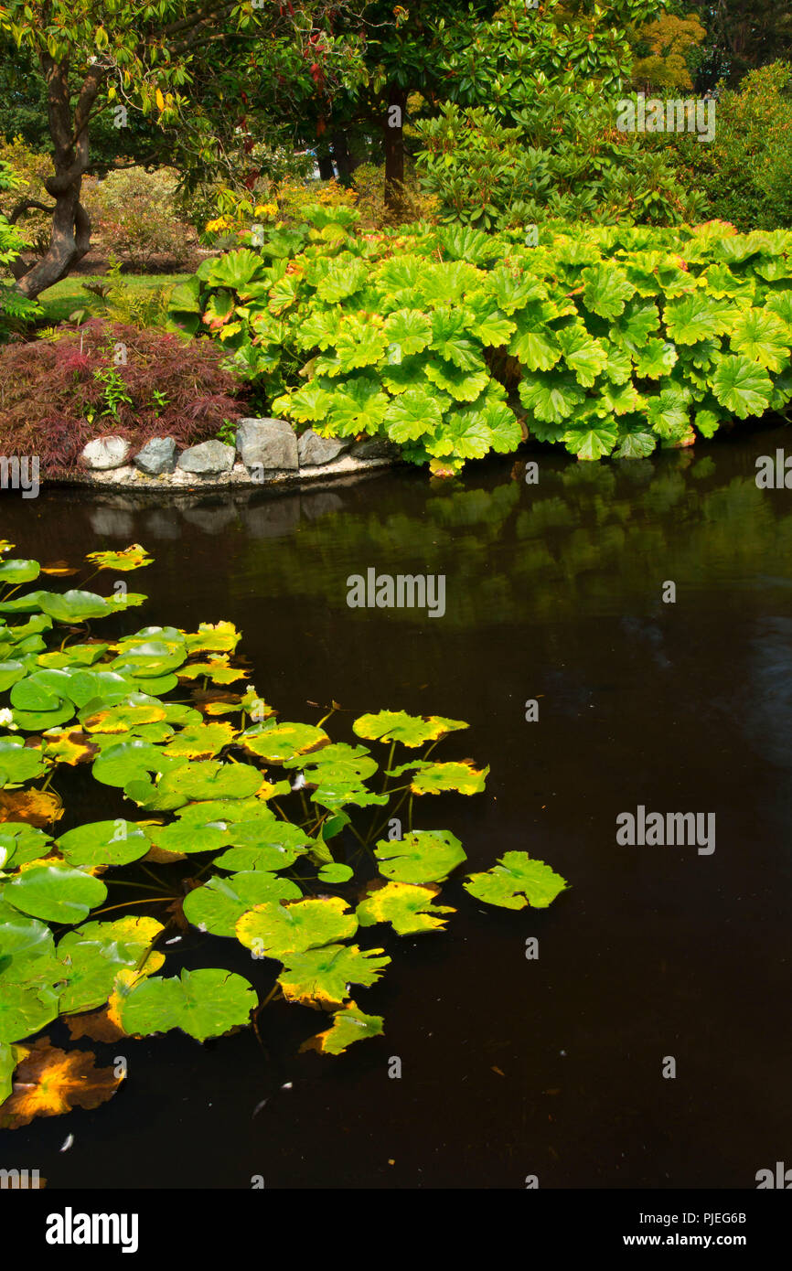Victoria park pond hi-res stock photography and images - Alamy
