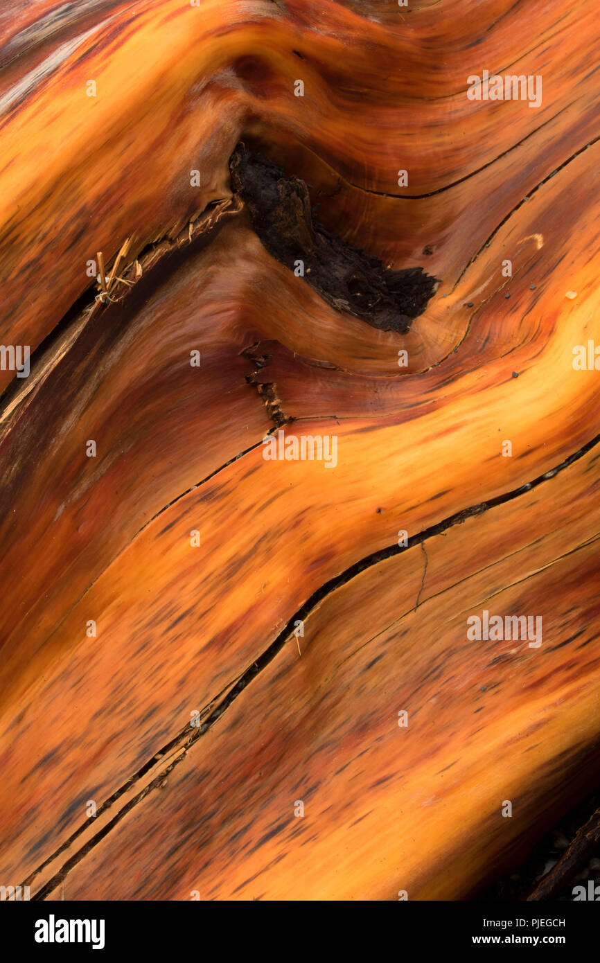 Drift log hi-res stock photography and images - Alamy
