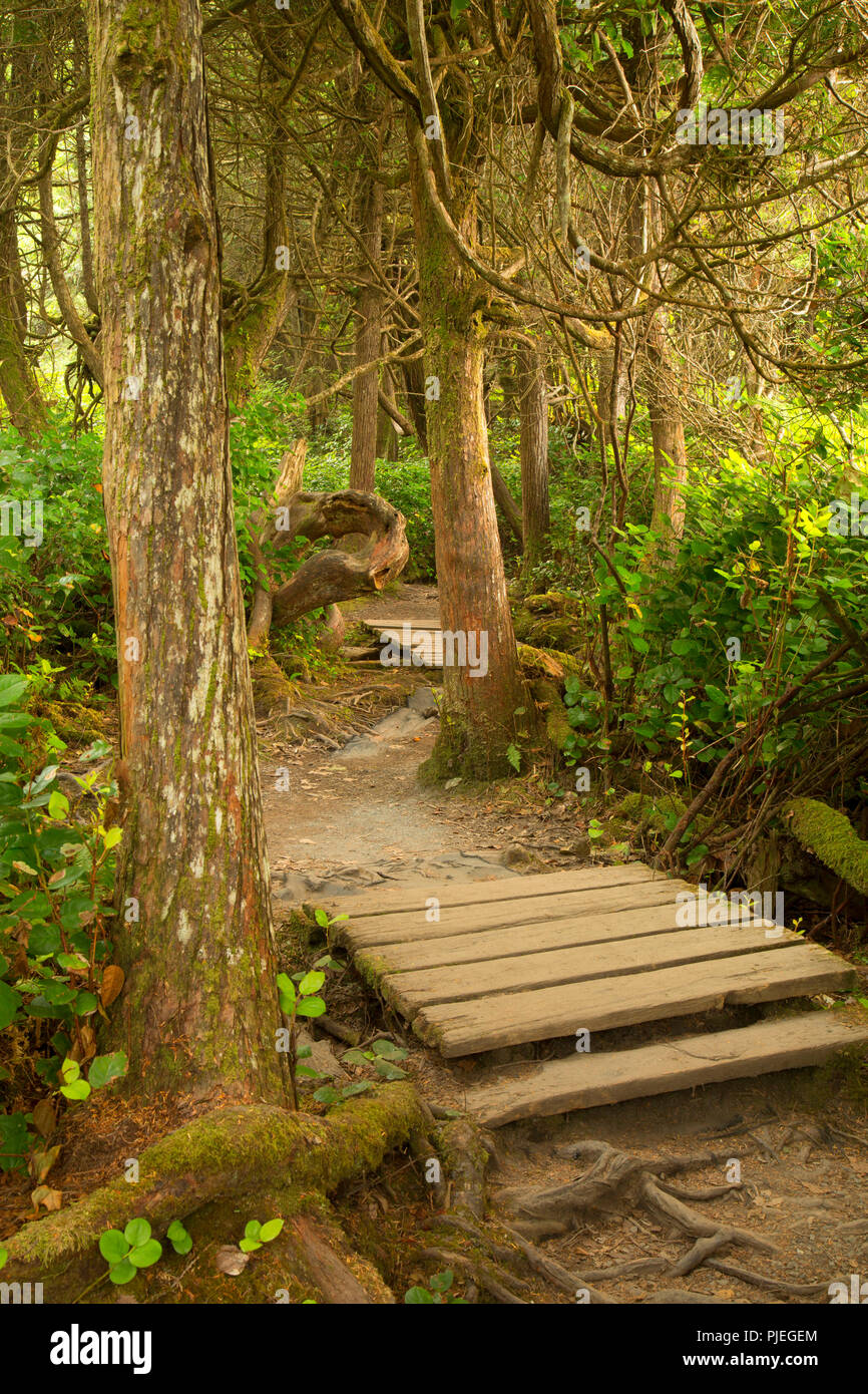 Botanical Beach Trail, Juan de Fuca Provincial Park, British Columbia ...
