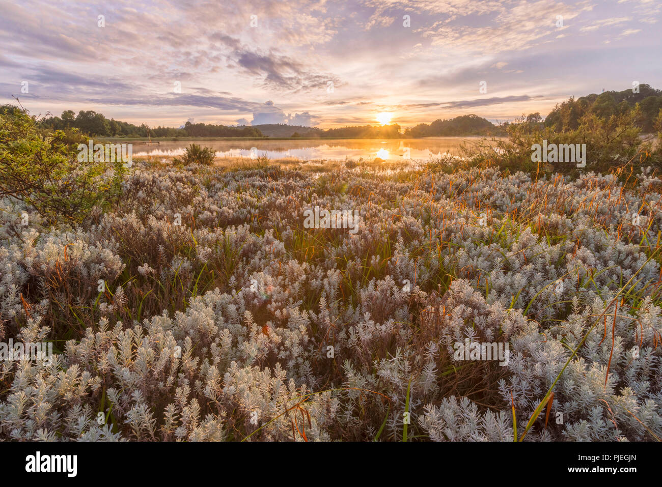 African highlands hi-res stock photography and images - Alamy