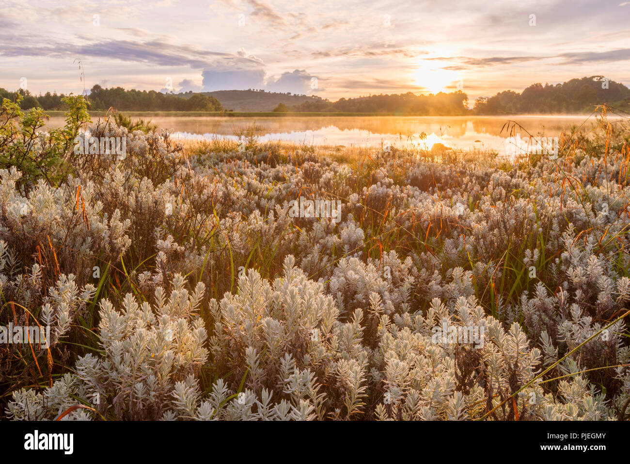 Exploring eastern highlands hi-res stock photography and images - Alamy