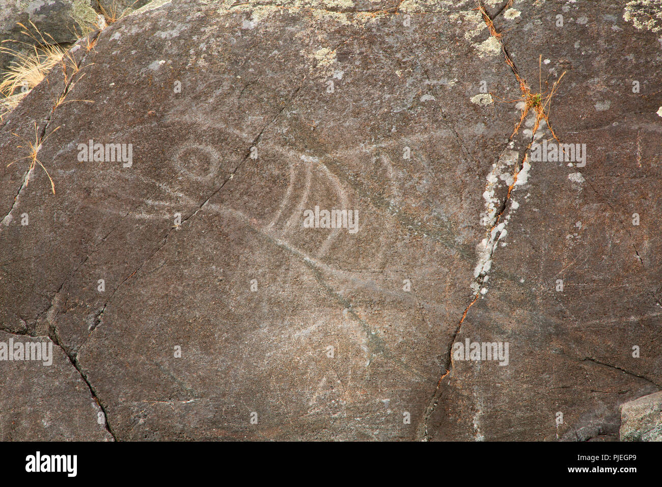 British columbia first nations coast hi-res stock photography and ...