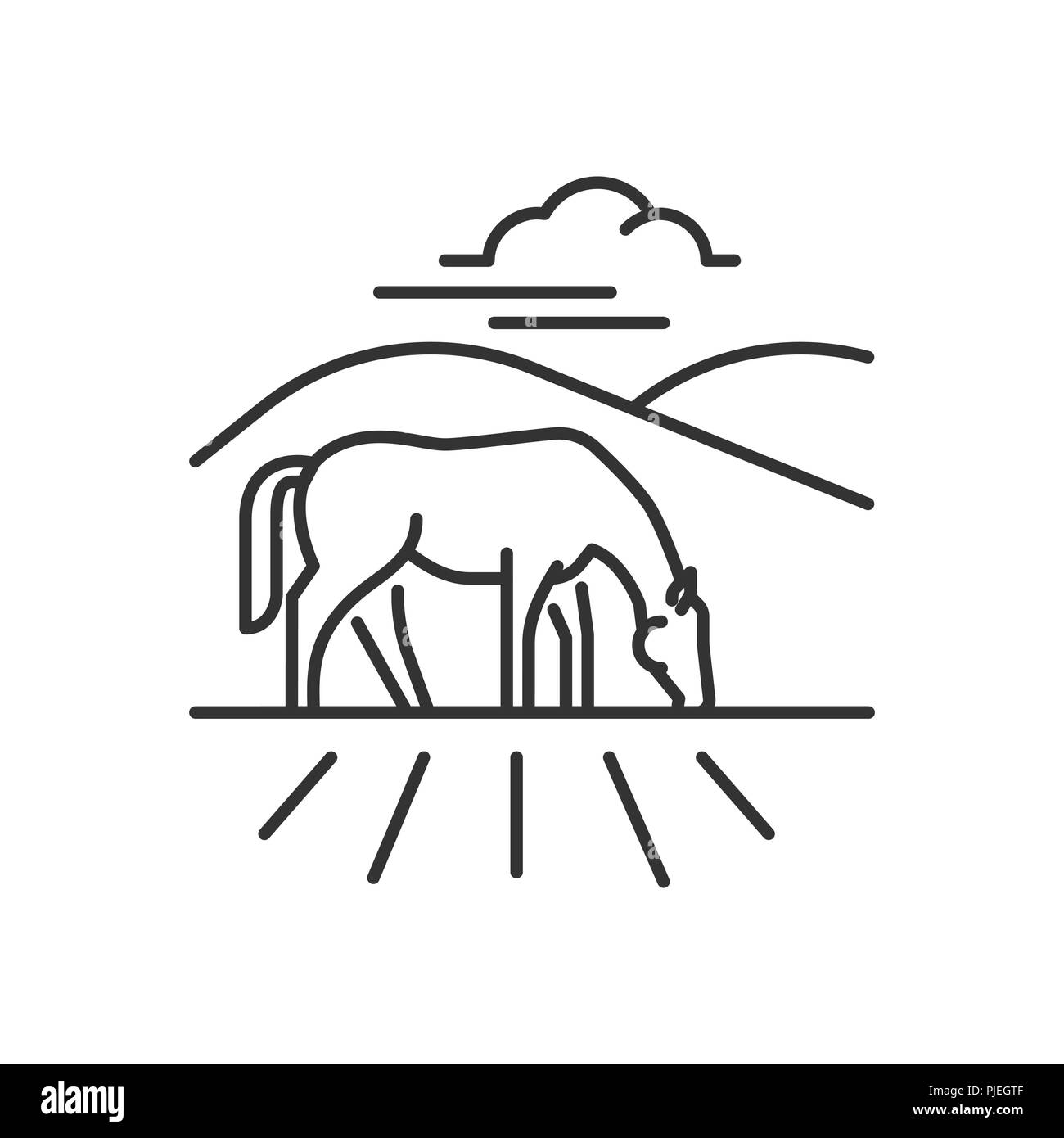 Training in horse riding Cut Out Stock Images & Pictures - Alamy