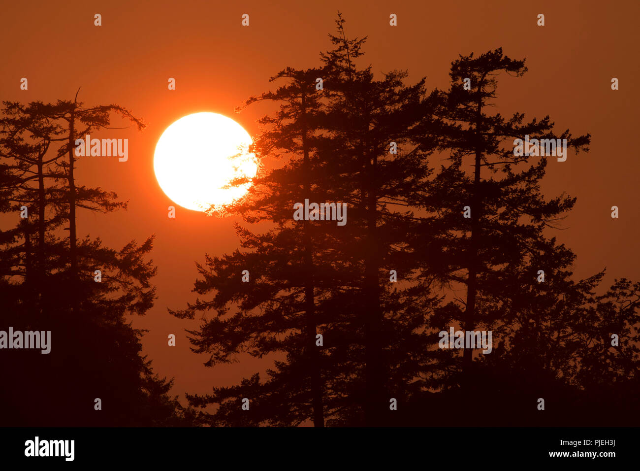 Canada british columbia vancouver silhouette hi-res stock photography ...