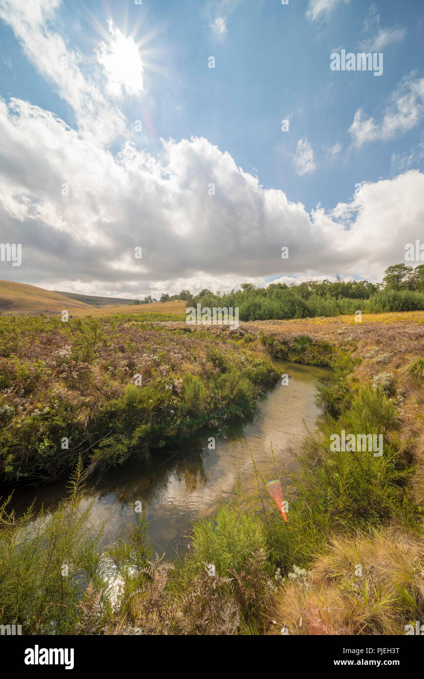 The beautiful Pungwe river seen in Zimbabwe's Nyanga National Park ...