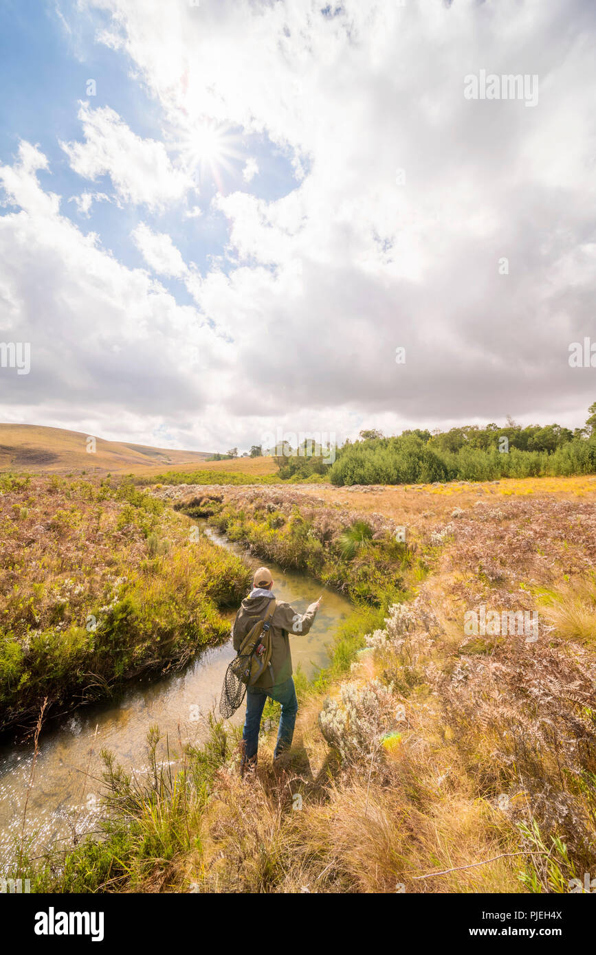 Pungwe river nyanga national park zimbabwe hi-res stock photography and ...