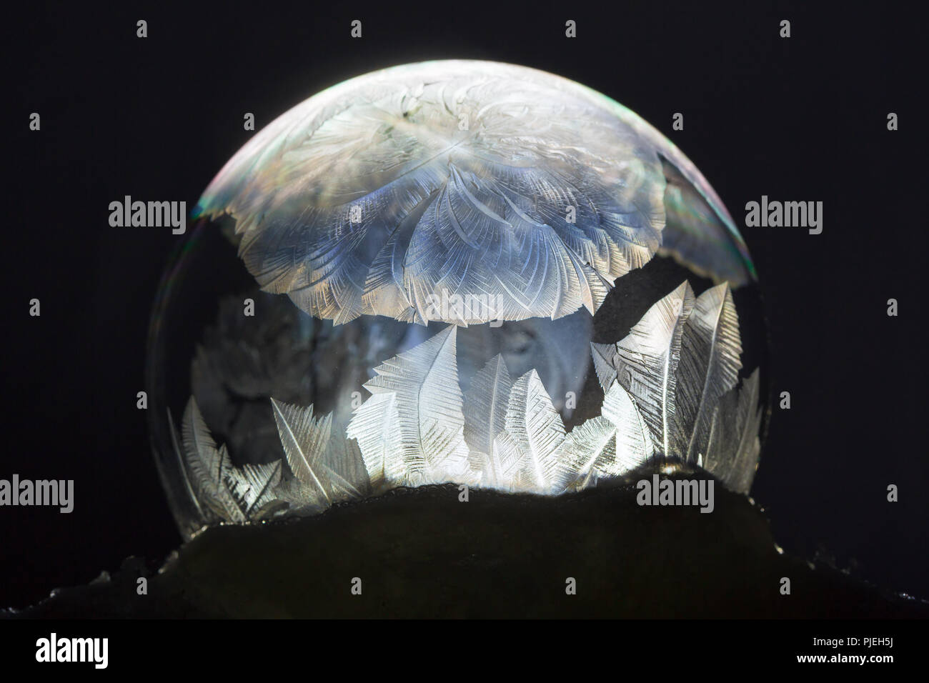 Jellyfish Snow Globes