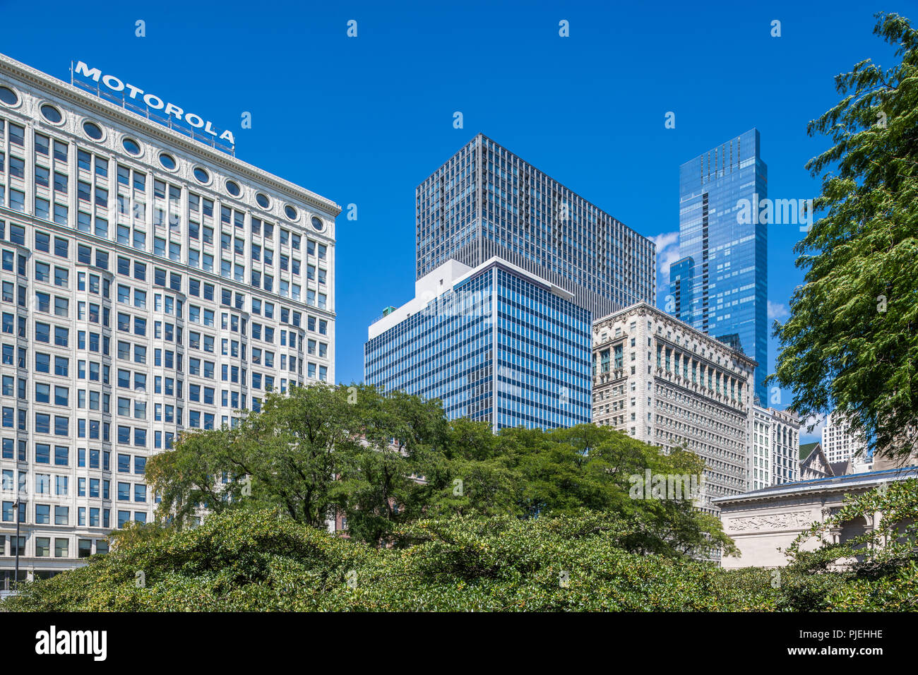 Young Daniel Burnham