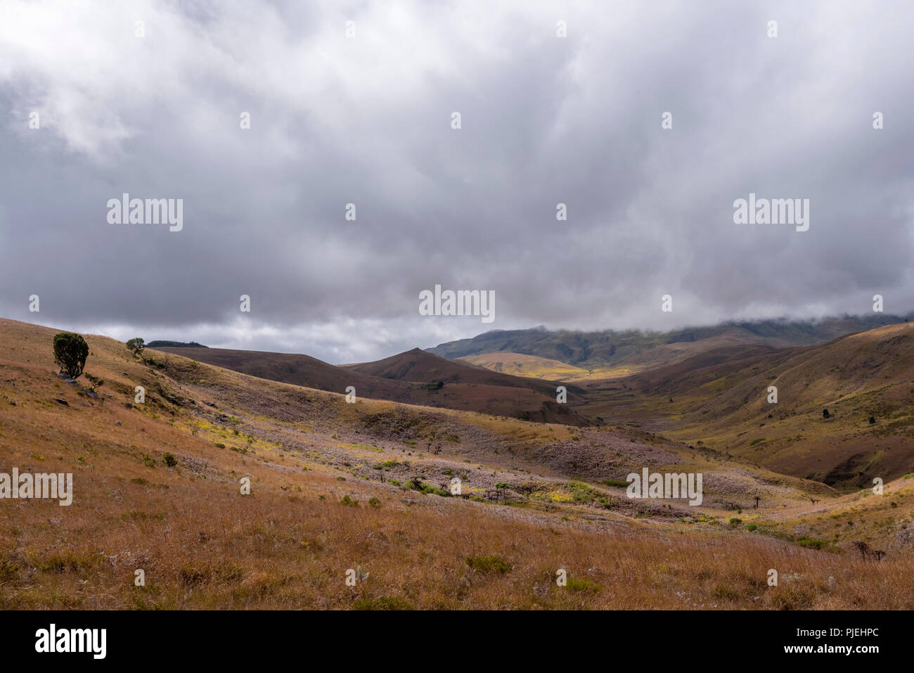 Nyanga mountains hi-res stock photography and images - Alamy