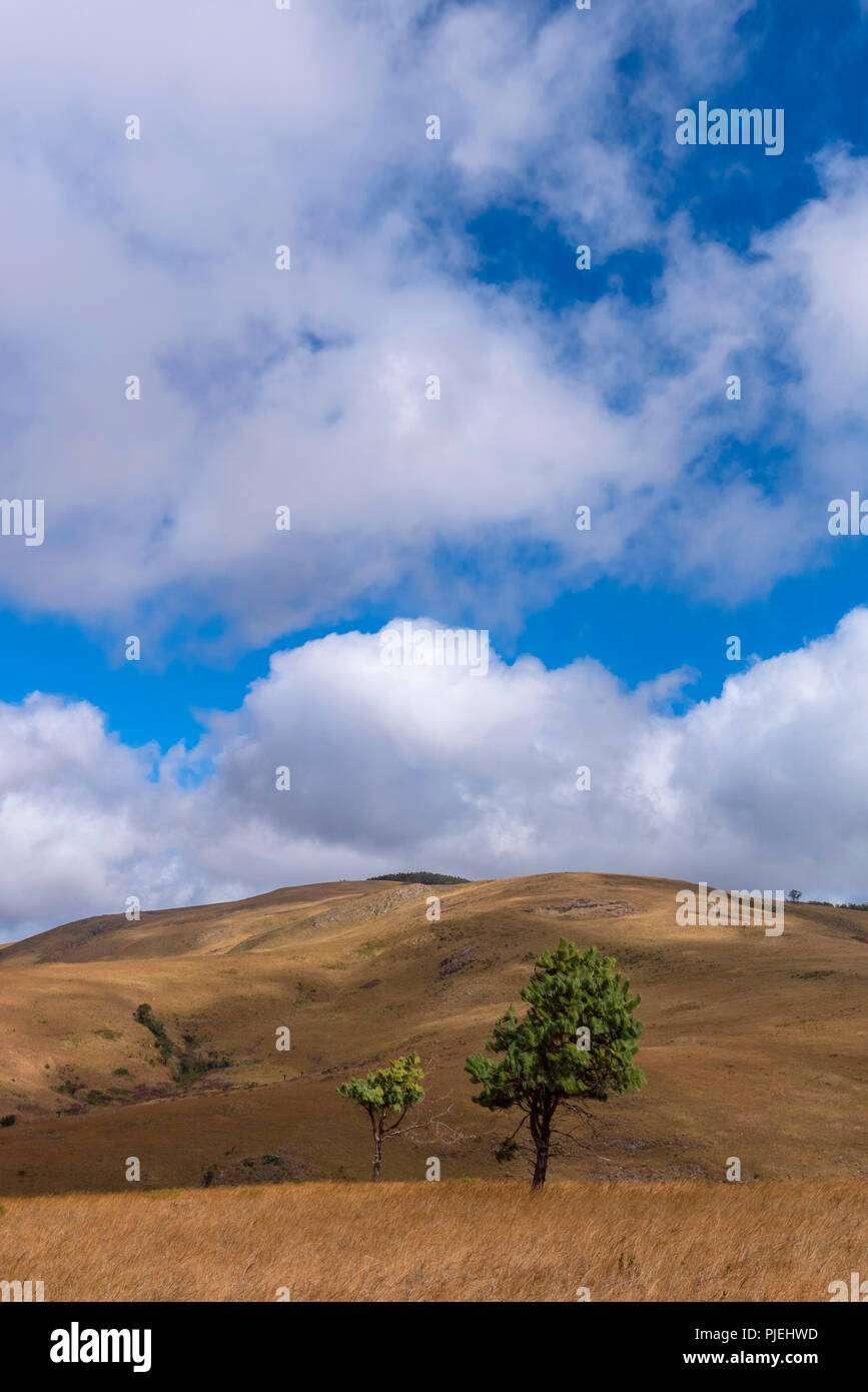 Nyanga mountains hi-res stock photography and images - Alamy