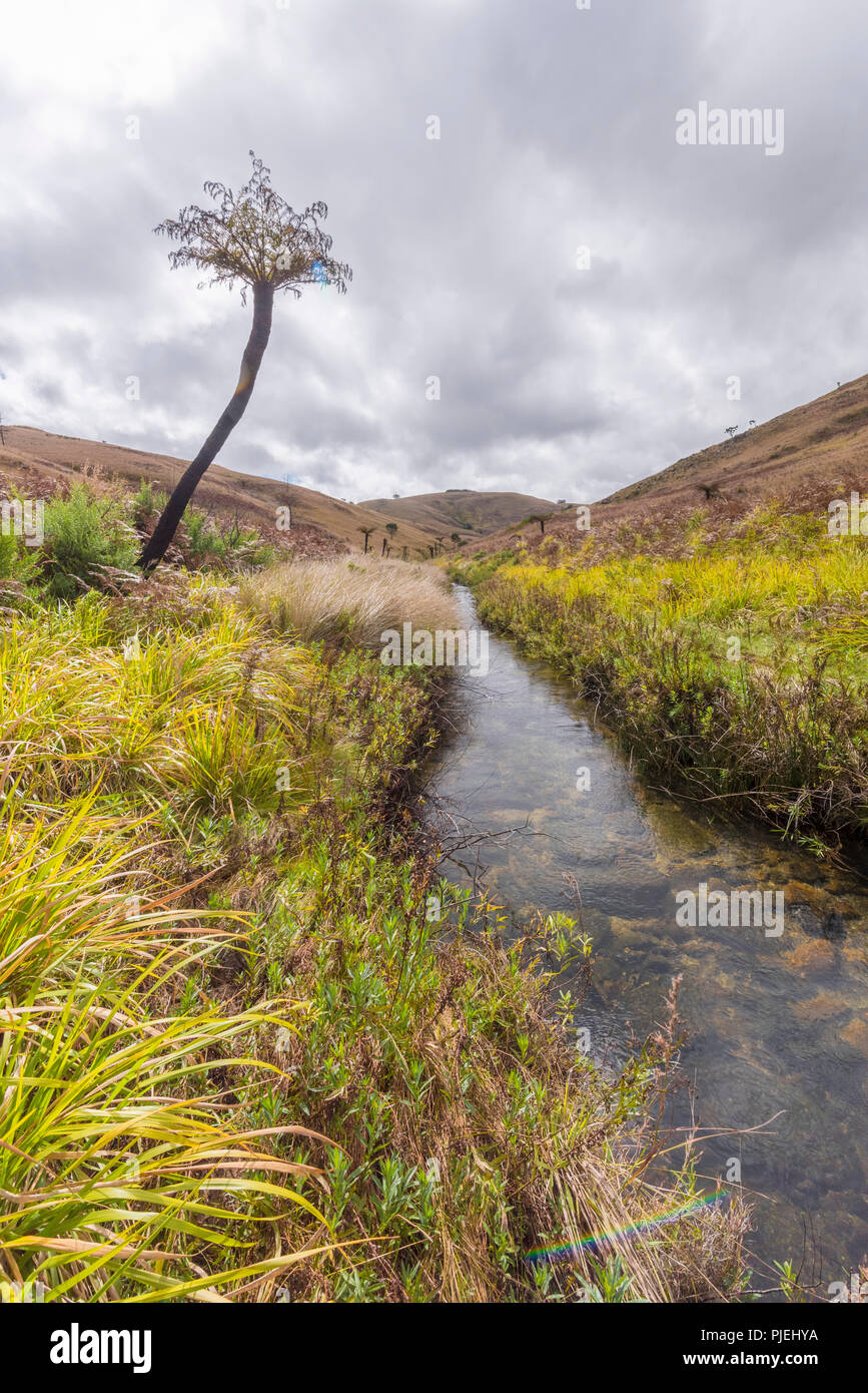 The beautiful Pungwe river seen in Zimbabwe's Nyanga National Park ...
