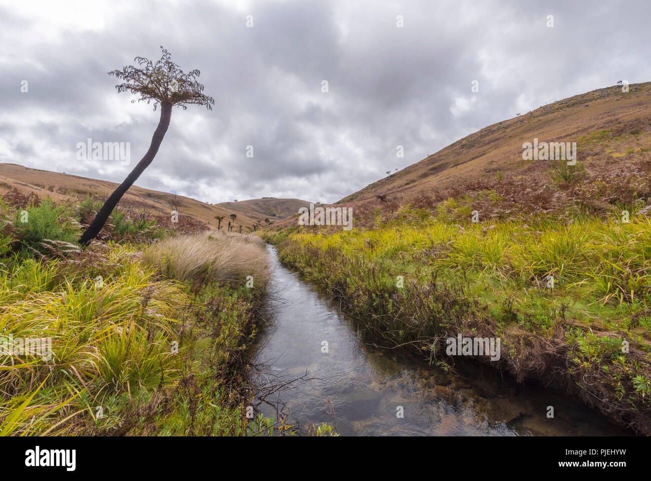 The beautiful Pungwe river seen in Zimbabwe's Nyanga National Park ...