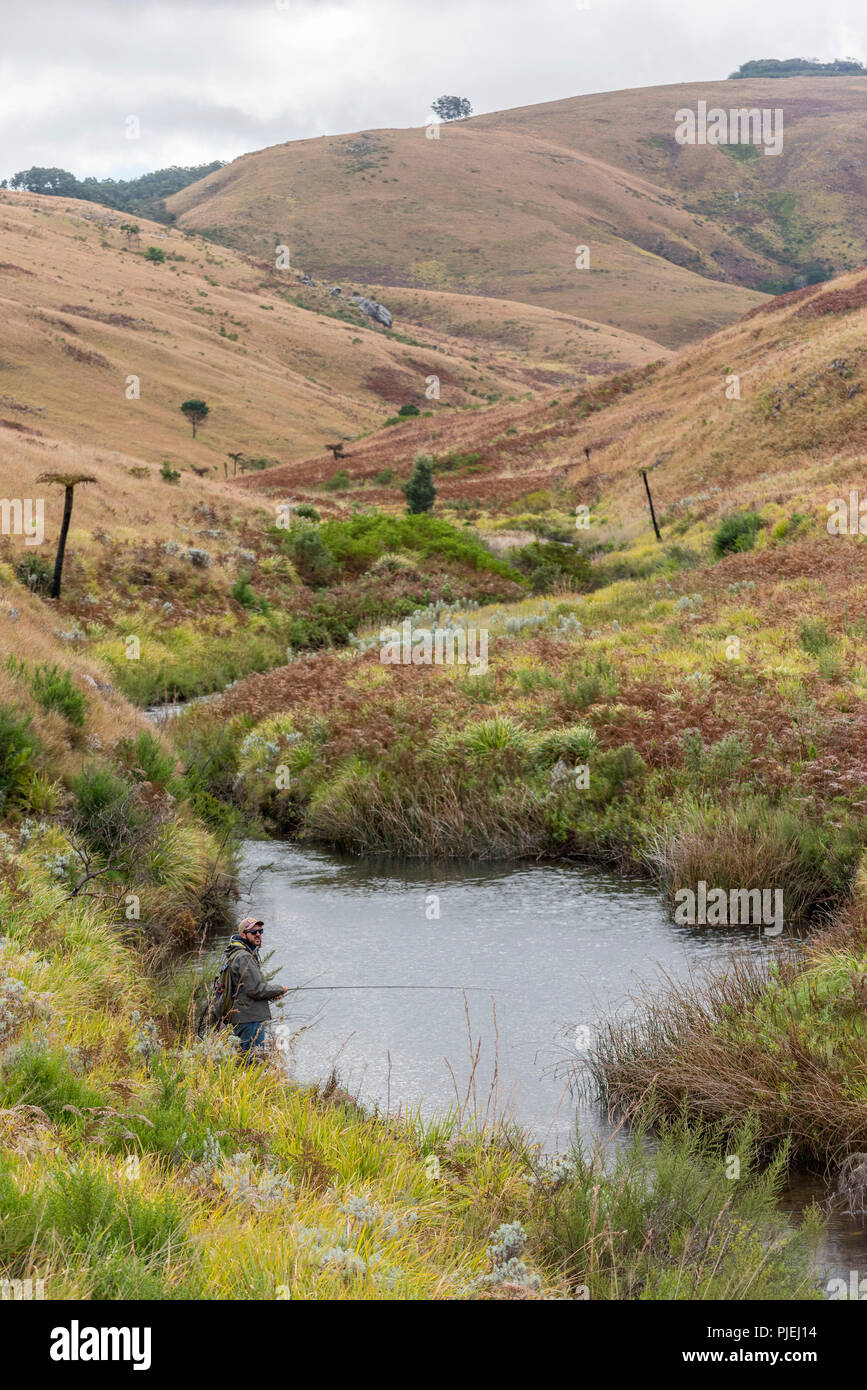 The beautiful Pungwe river seen in Zimbabwe's Nyanga National Park ...