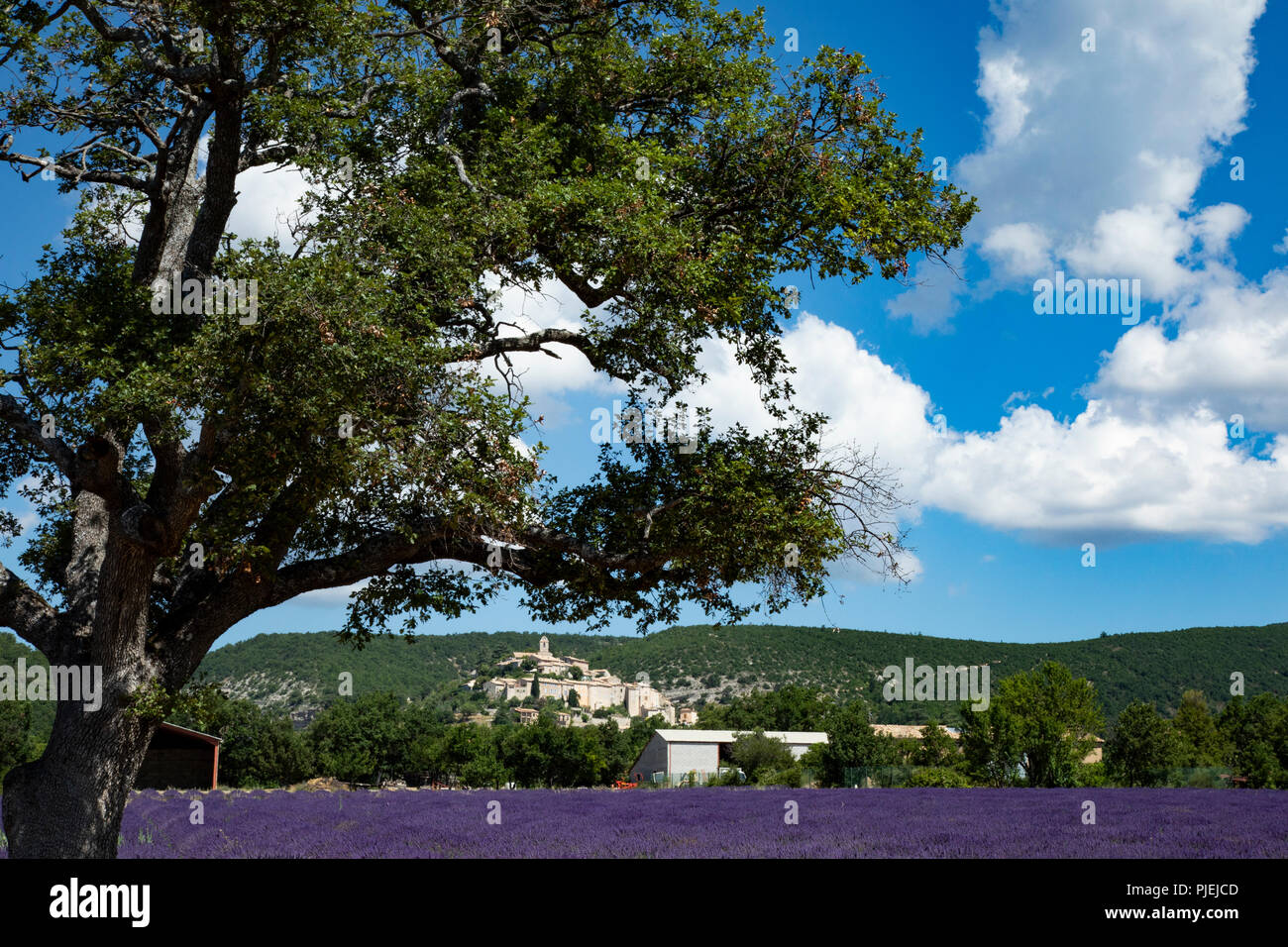 Town of Banon in Provence region of Southern France Stock Photo - Alamy