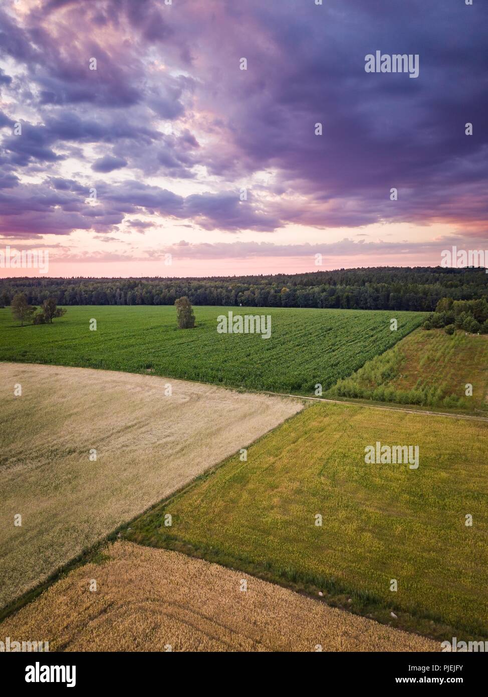 Aerial landscape with beautiful summer fields. Summer drone field ...