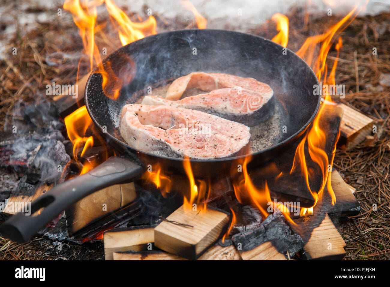 Preparation of steak from red fish in winter in the forest at the stake ...