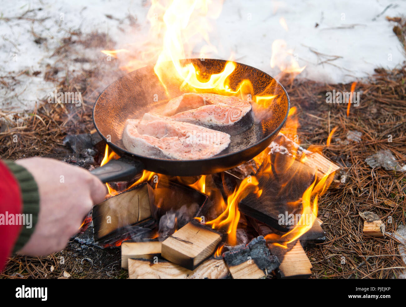 Preparation of steak from red fish in winter in the forest at the stake ...