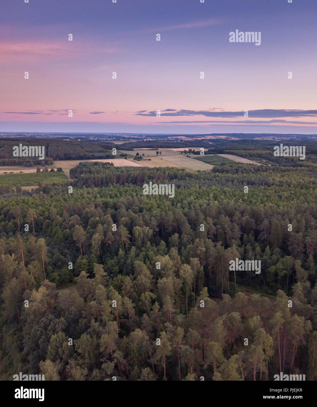 Aerial landscape with forest in sunset light. Beautiful drone landscape ...