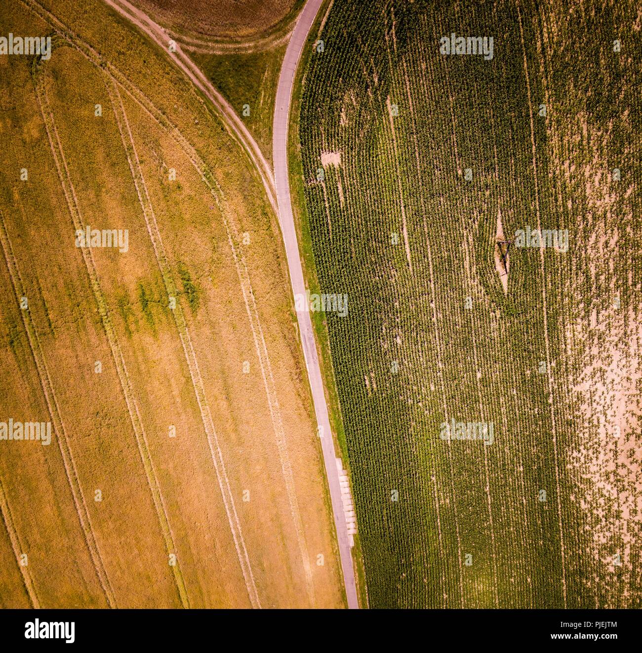 Aerial landscape with beautiful summer fields. Summer drone field ...