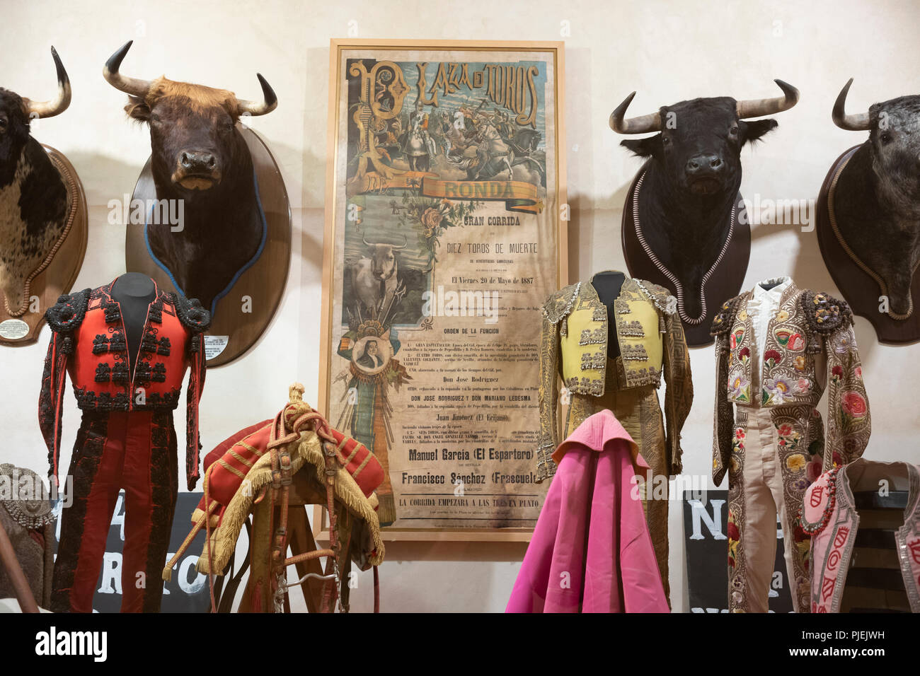 Bullfighting museum hi-res stock photography and images - Alamy