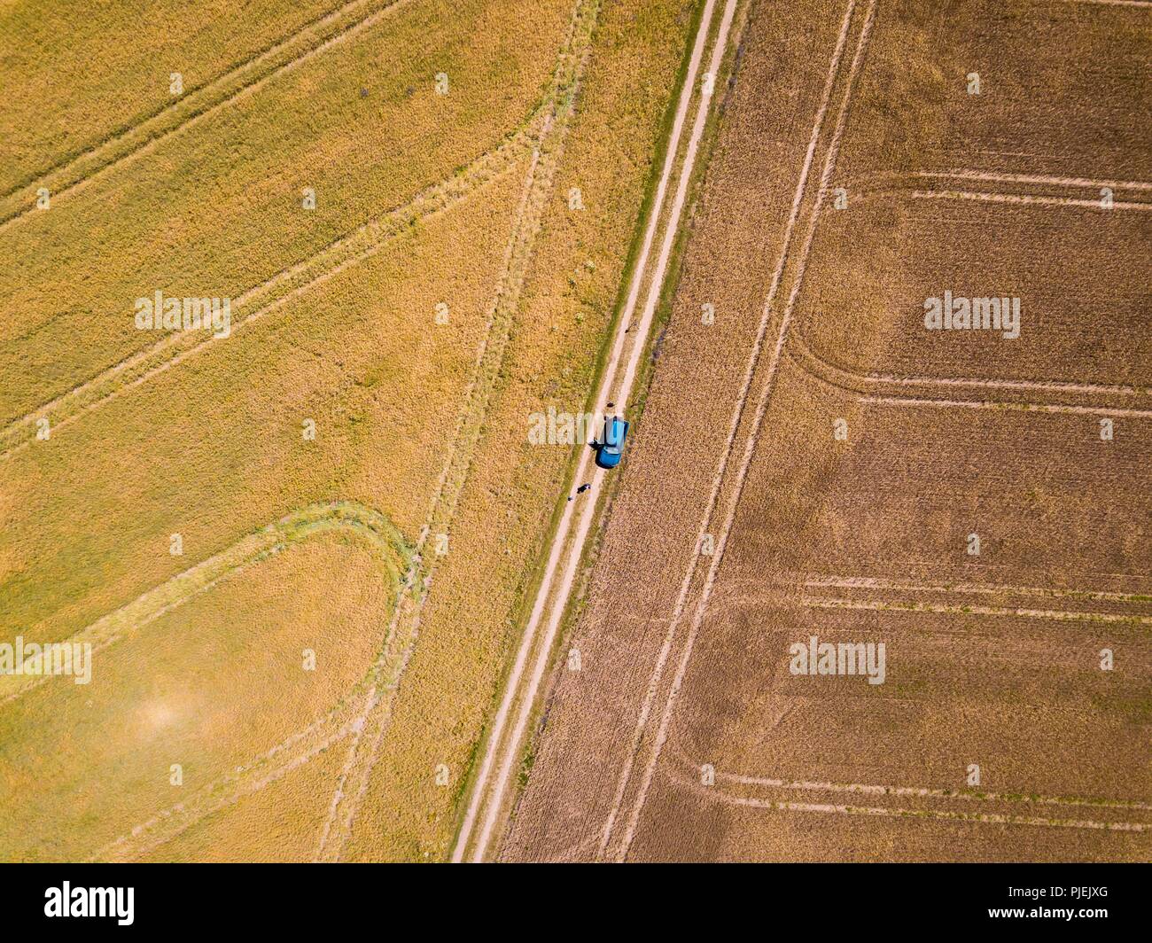 Aerial landscape with beautiful summer fields. Summer drone field ...