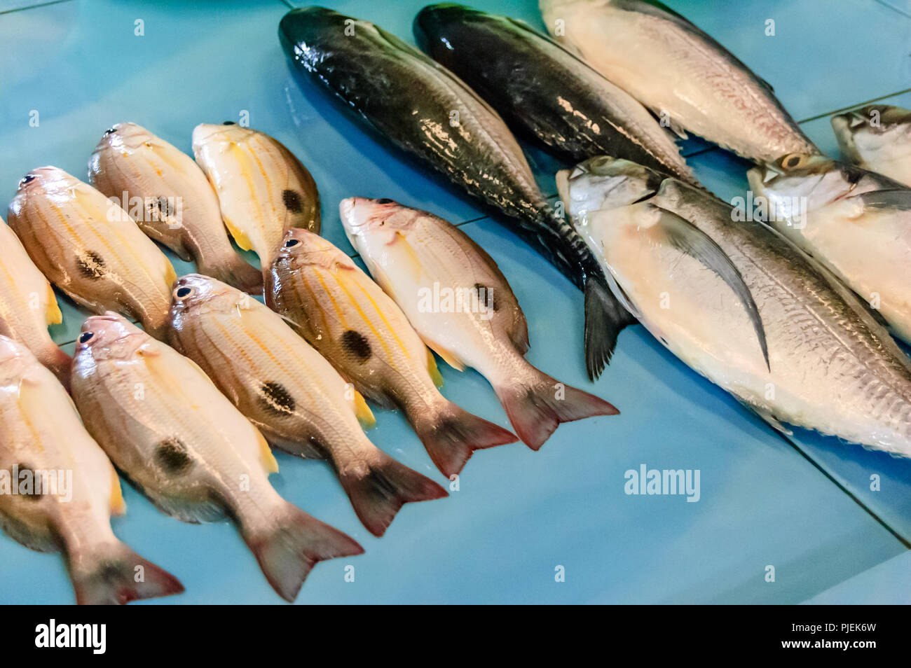 Assorted fish display on counter in fish market in Phuket, Thailand ...