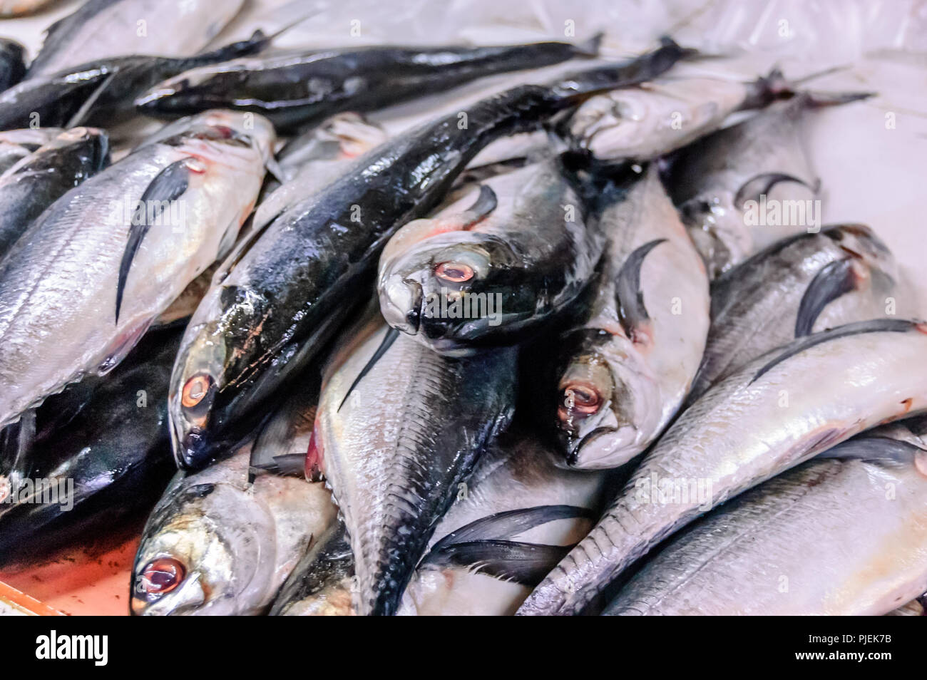 Pile fresh fishes fish market hi-res stock photography and images - Alamy