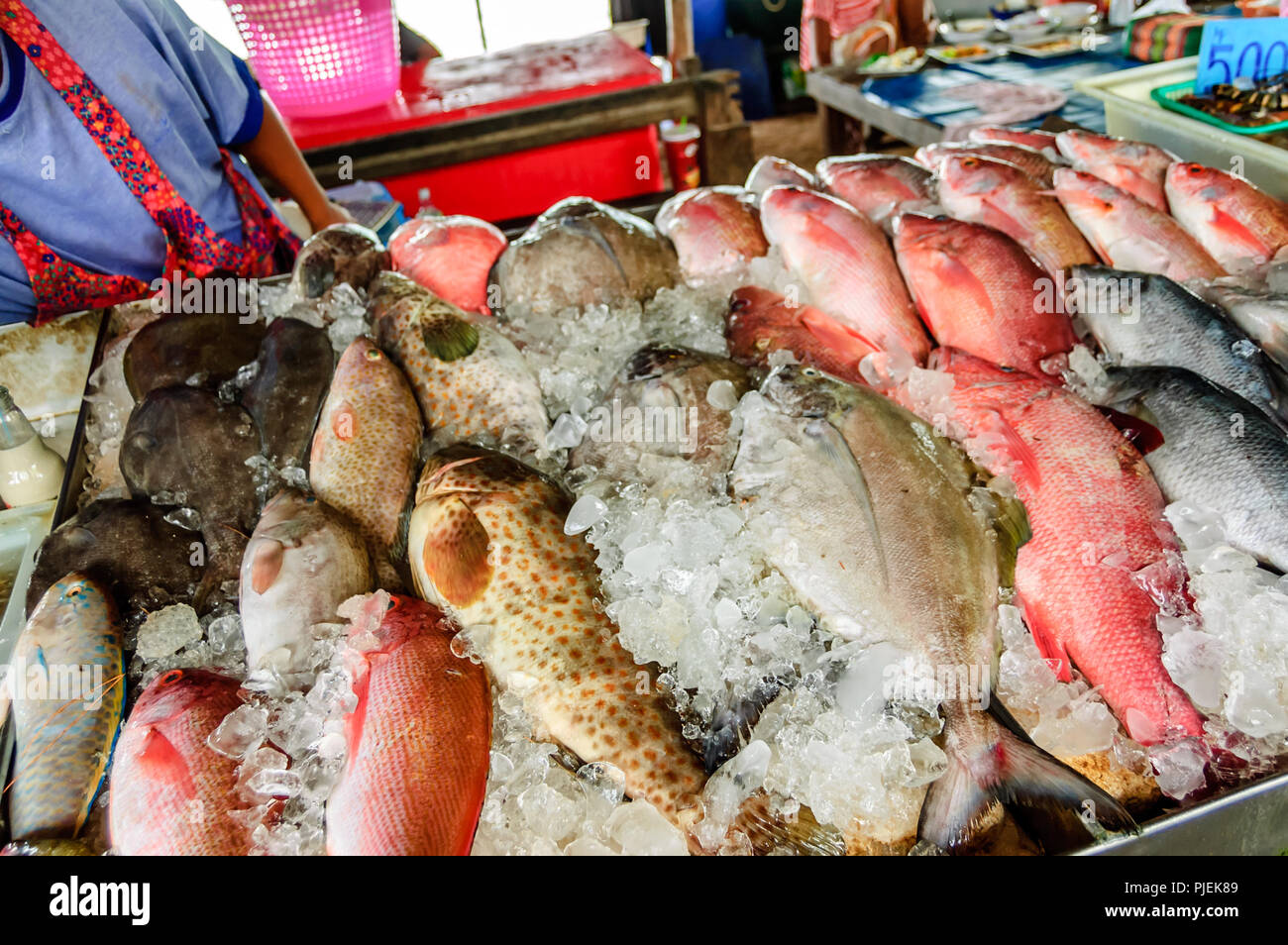 Fish displayed on ice on beachside fish stall at Sea Gypsy village at ...