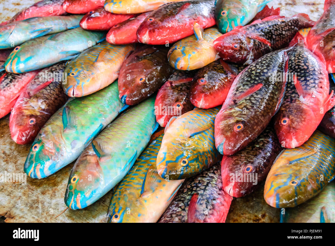 Wet fish market stall hi-res stock photography and images - Alamy
