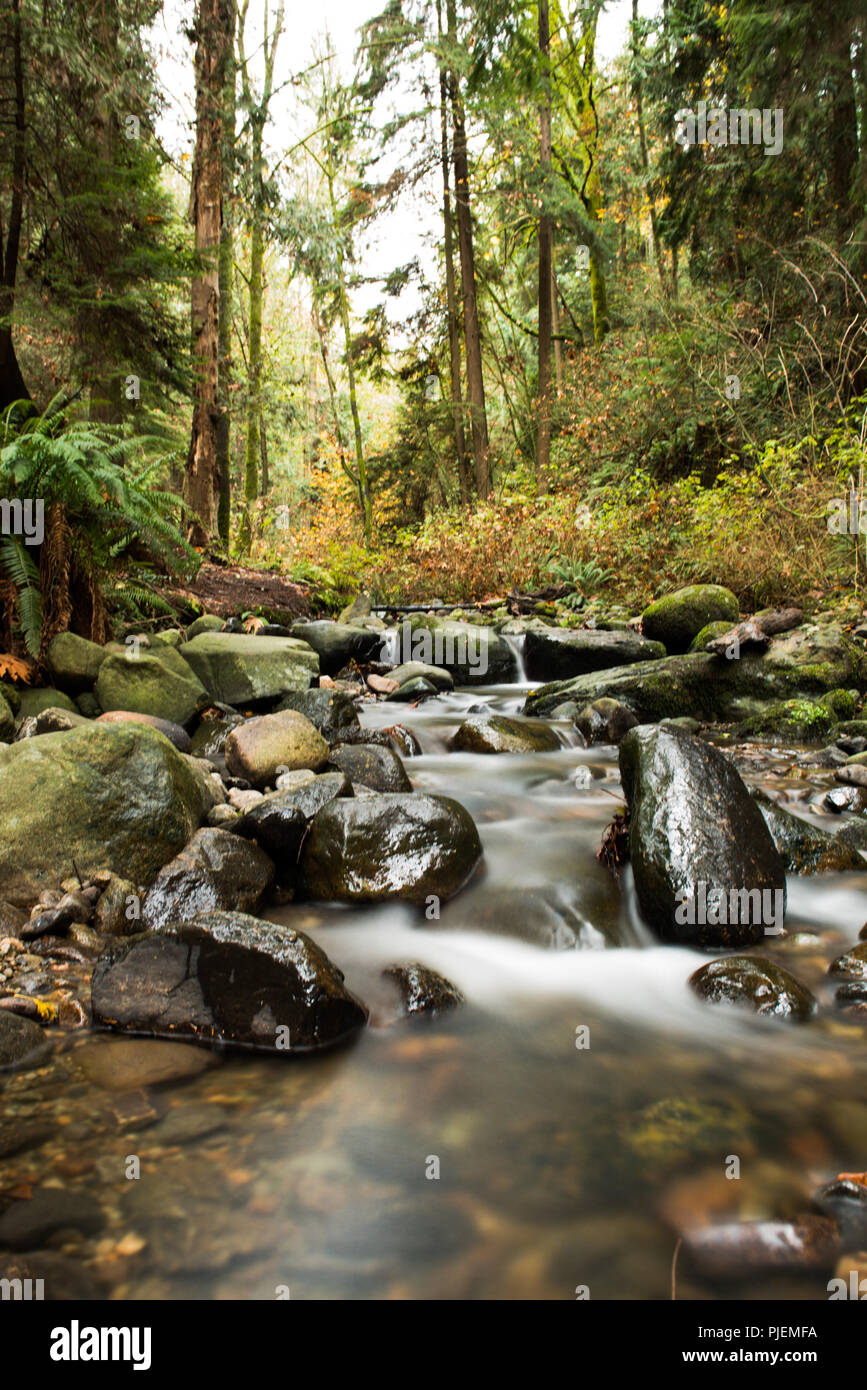 Byrne creek ravine park hi-res stock photography and images - Alamy