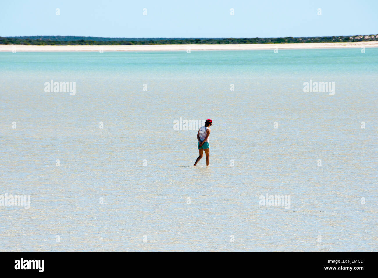 Shell bay beach hi-res stock photography and images - Alamy