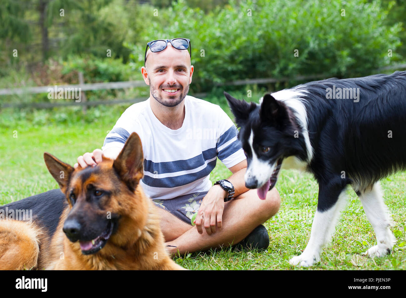 Photo of a happy man playing with his two dogs Stock Photo - Alamy