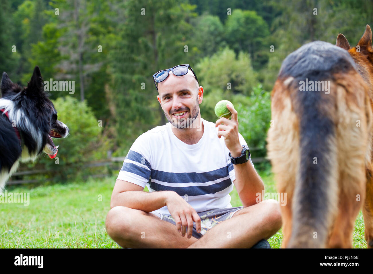 Picture of a happy man playing with his german shepherd dog Stock Photo ...